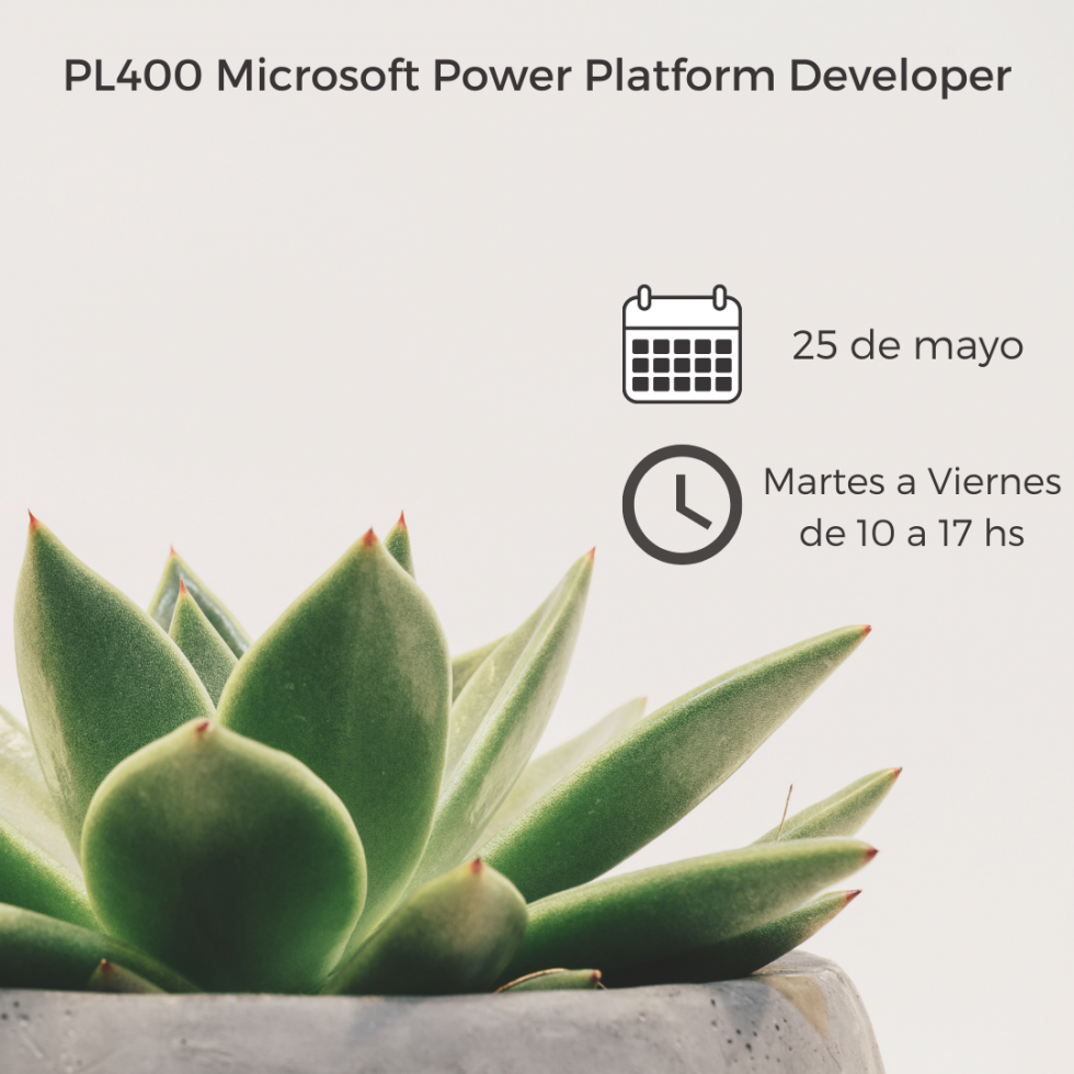 PL400 Microsoft Power Platform Developer | Cuti